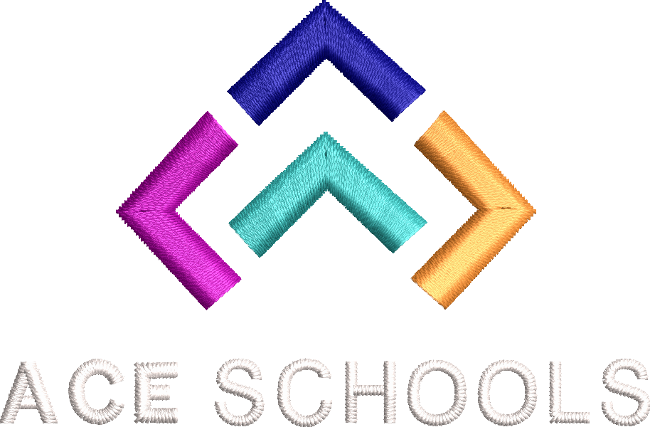 ACE SCHOOLS Deal – CustomisedStuff